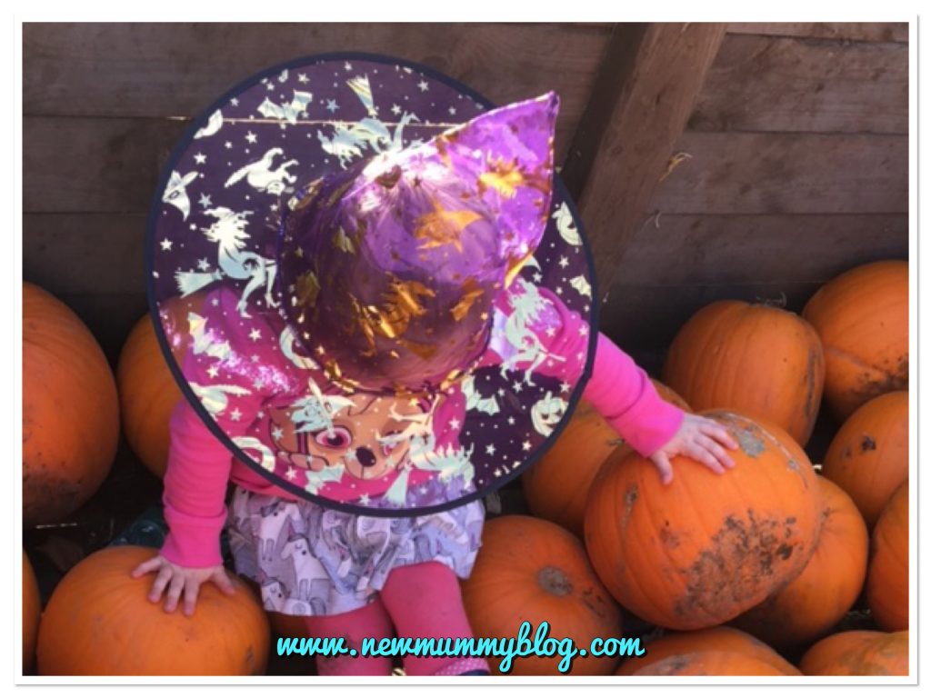 Primrose Vale Halloween Trail REVIEW | Pre-school Activities - Days Out ...