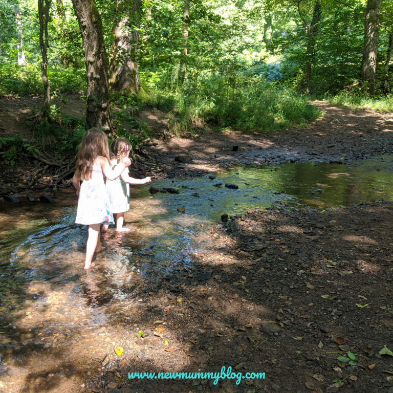 Wenchford Picnic Site REVIEW - fun playing & paddling in the Forest of ...