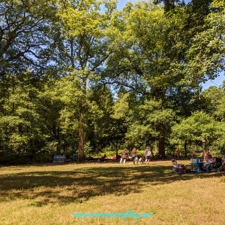 Wenchford Picnic Site REVIEW - fun playing & paddling in the Forest of ...