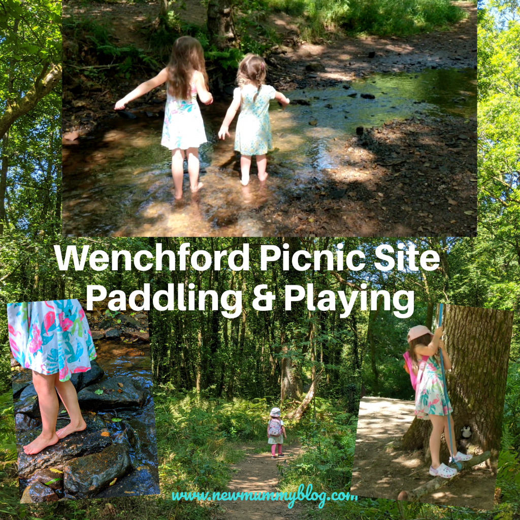 Wenchford Picnic Site REVIEW - fun playing & paddling in the Forest of ...
